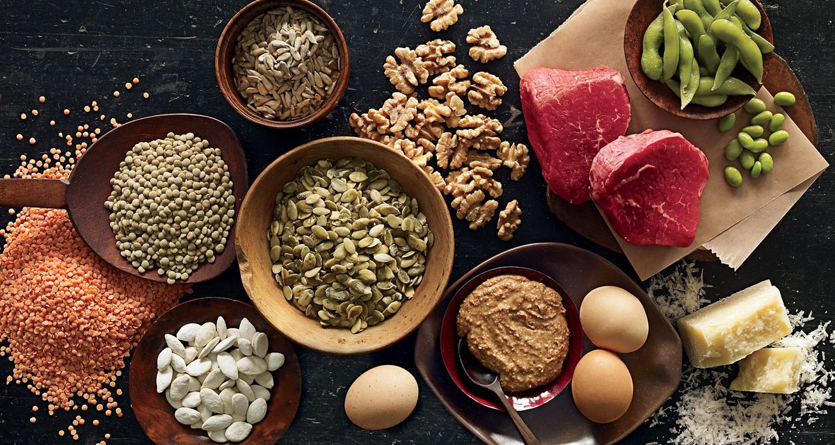 Find out the best sources of protein